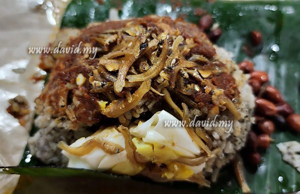 Nasi Lemak Lemuni - David Explores
